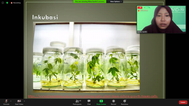 Ciptakan Hidup Sehat Melalui Kultur Jaringan - Universitas Surabaya (UBAYA)